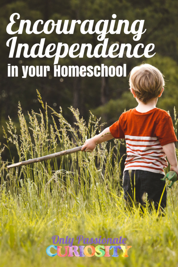 12 Ways to Support Independence in your Homeschool - Only Passionate ...